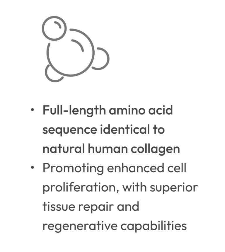 Recombinant Human Collagen – JHM Biopharmaceutical