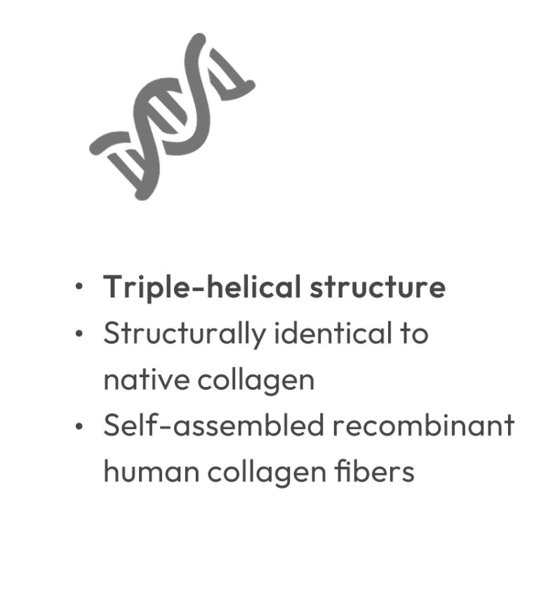 Recombinant Human Collagen – JHM Biopharmaceutical